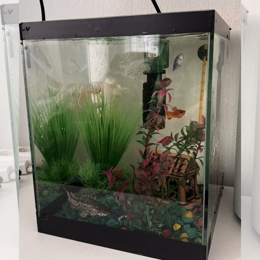 Аквариум с рыбками