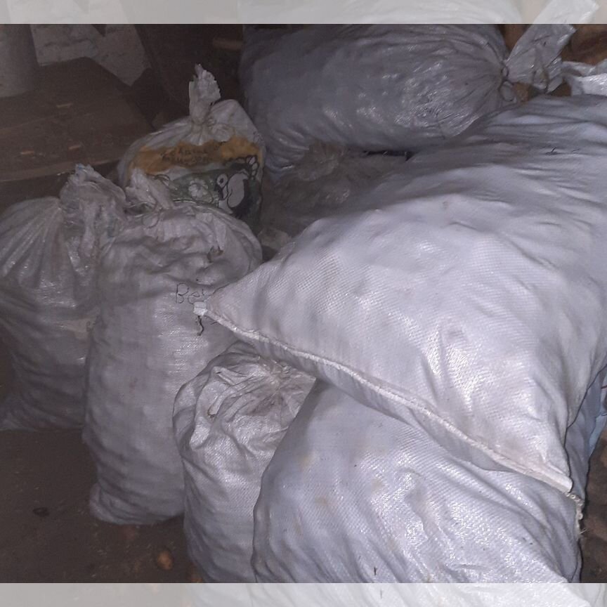 Продам картофель на корм скоту