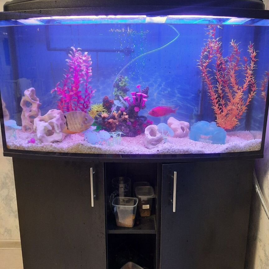 Продам аквариум с рыбками