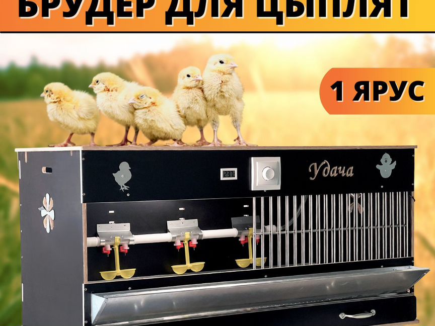 Брудер для цыплят Удача