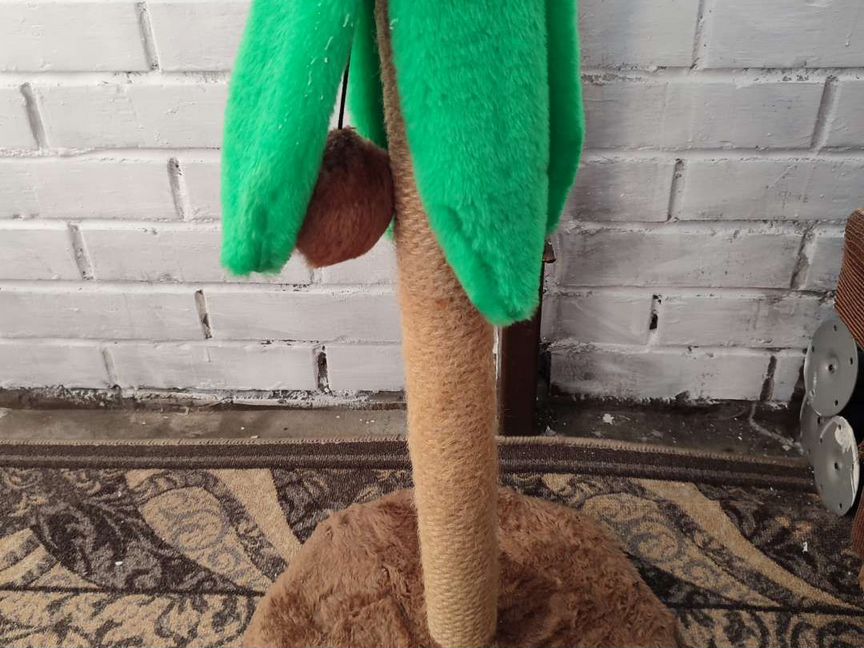 Когтеточка