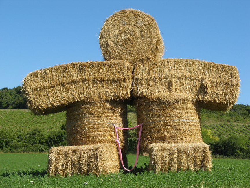 Сено и солома в рулонах
