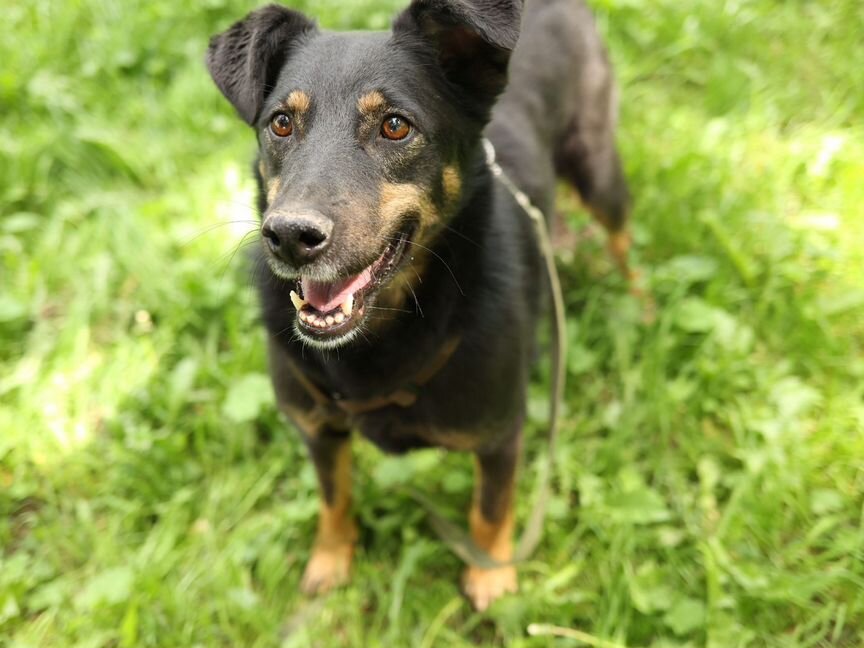 Дайте Берте шанс на семью