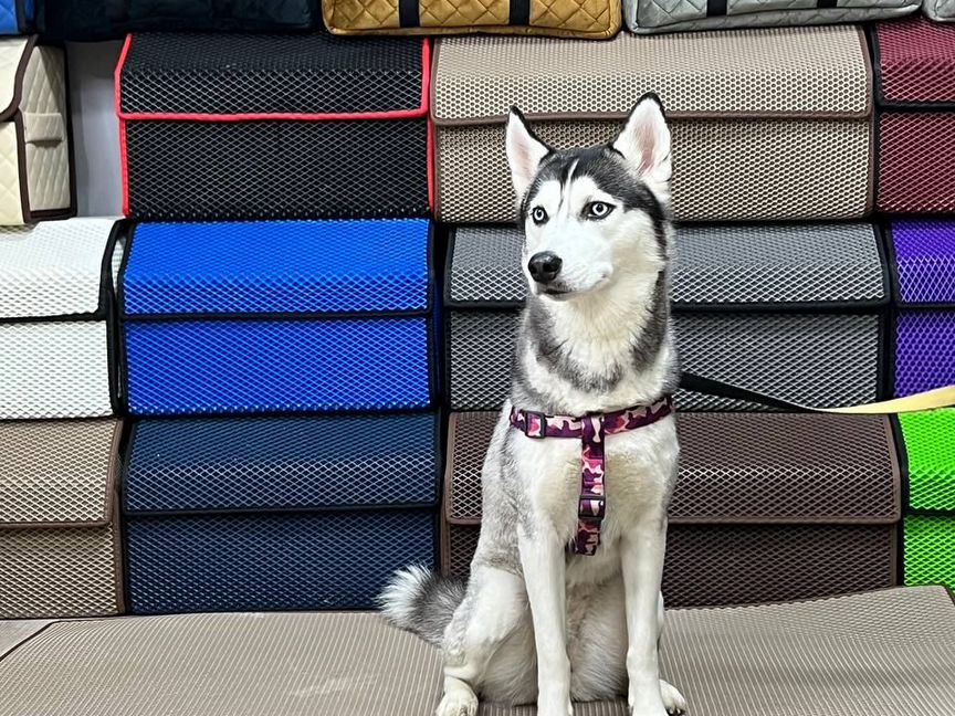 Лежанка для собак