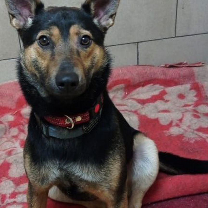 Малыш В добрые ручки