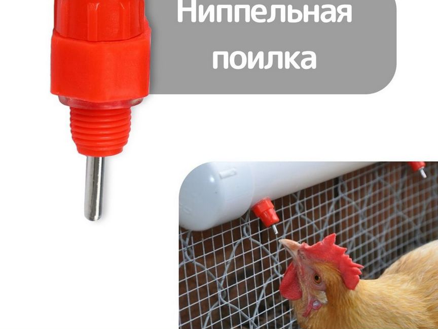 Нипельные поилки для кур