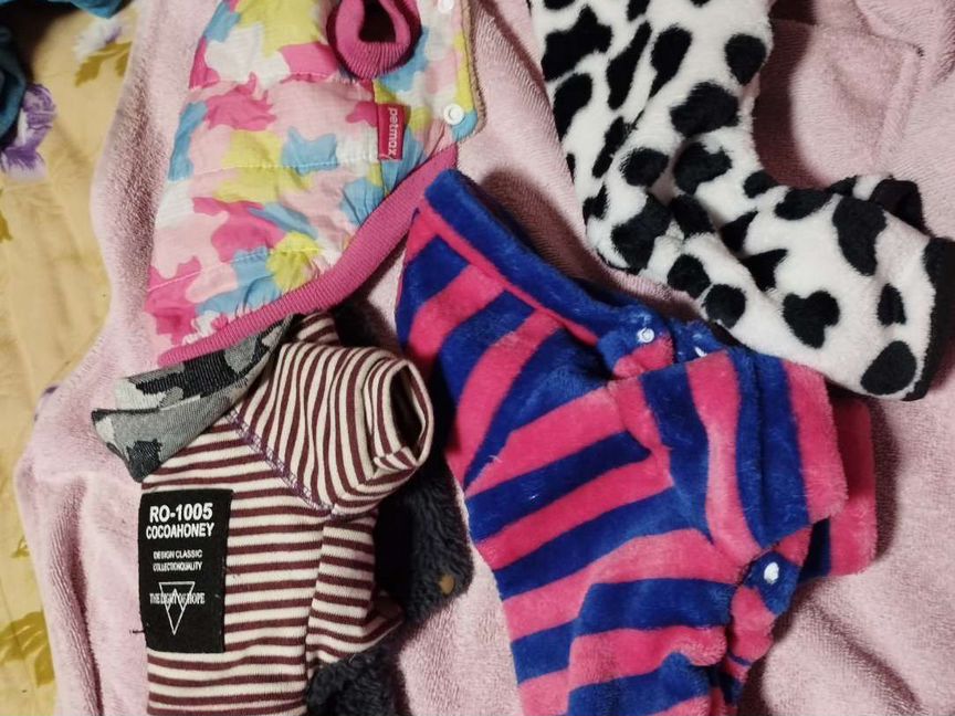 Одежда для маленьких собак