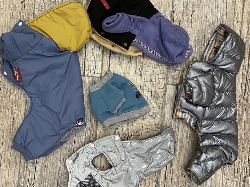 Одежда для маленьких пород собак