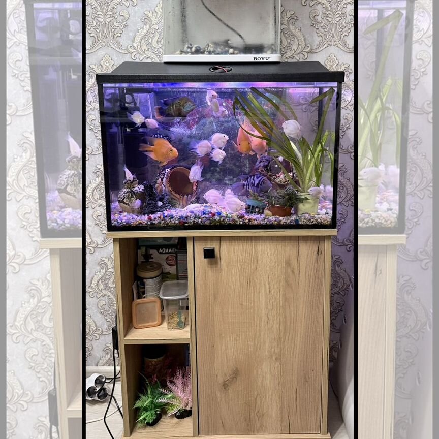 Аквариум с рыбками