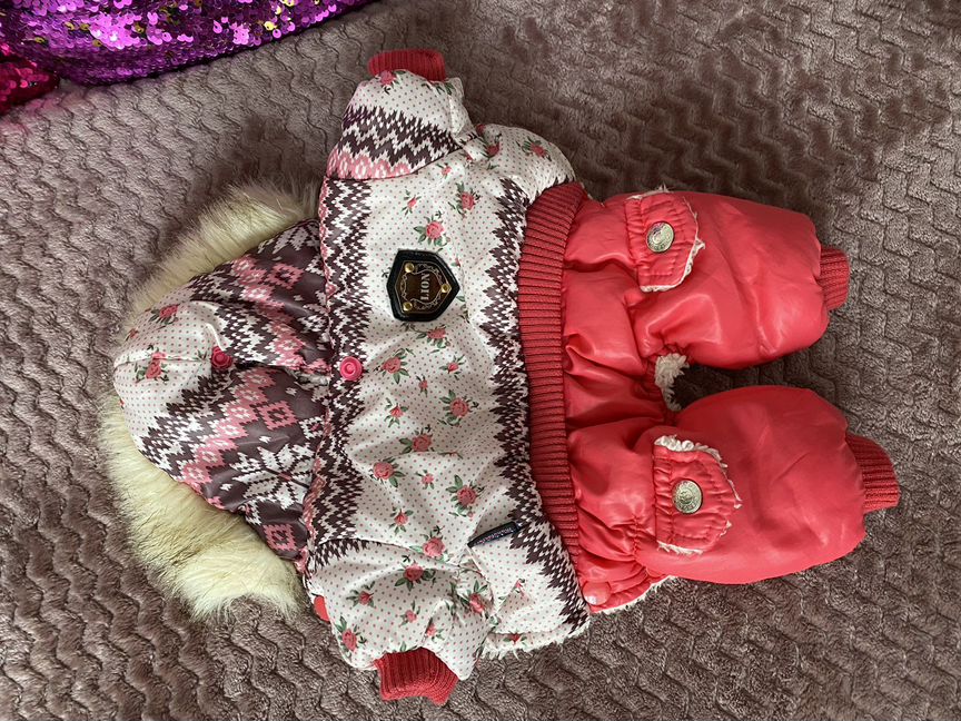 Одежла на маленьких собак