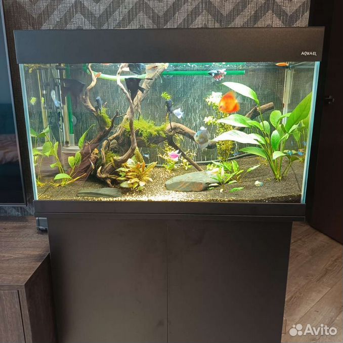 Готовый Аквариум Aquael с тумбой 125 литров