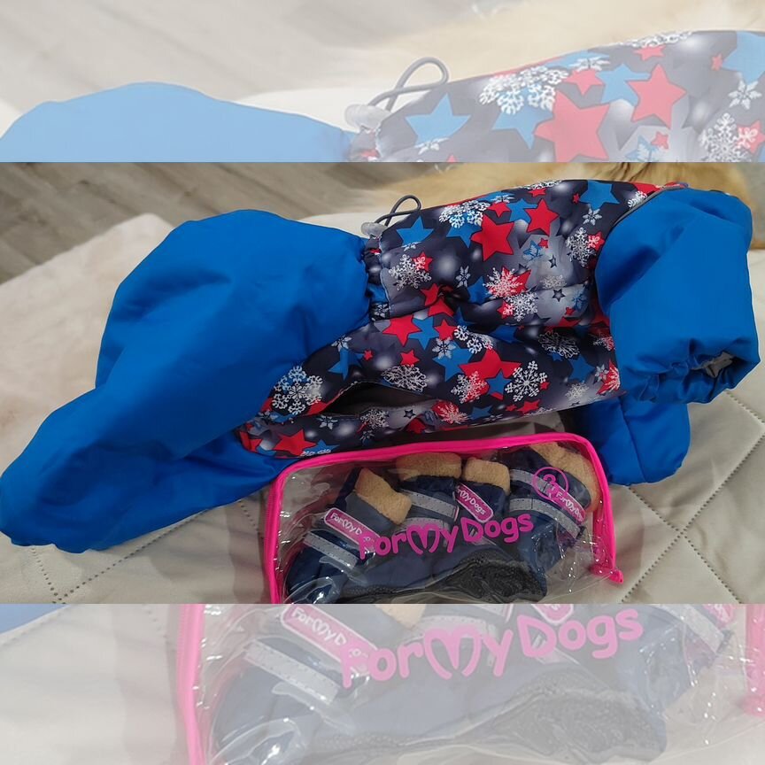 Одежда для собак мелких пород мальчик