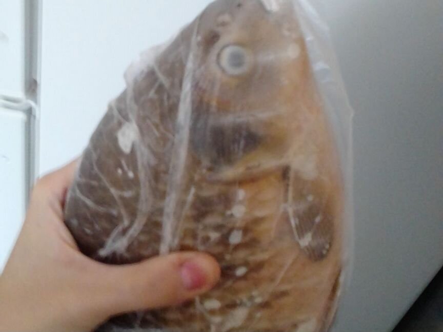 Караси Свежий улов Замороженные