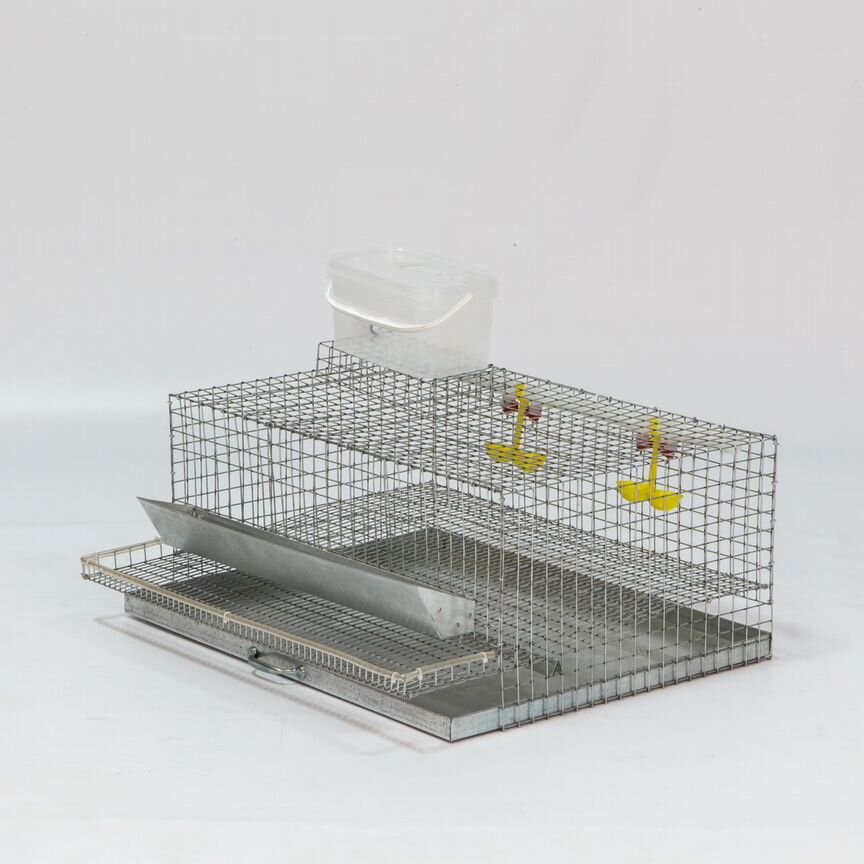 Клетка для перепелов под ключ