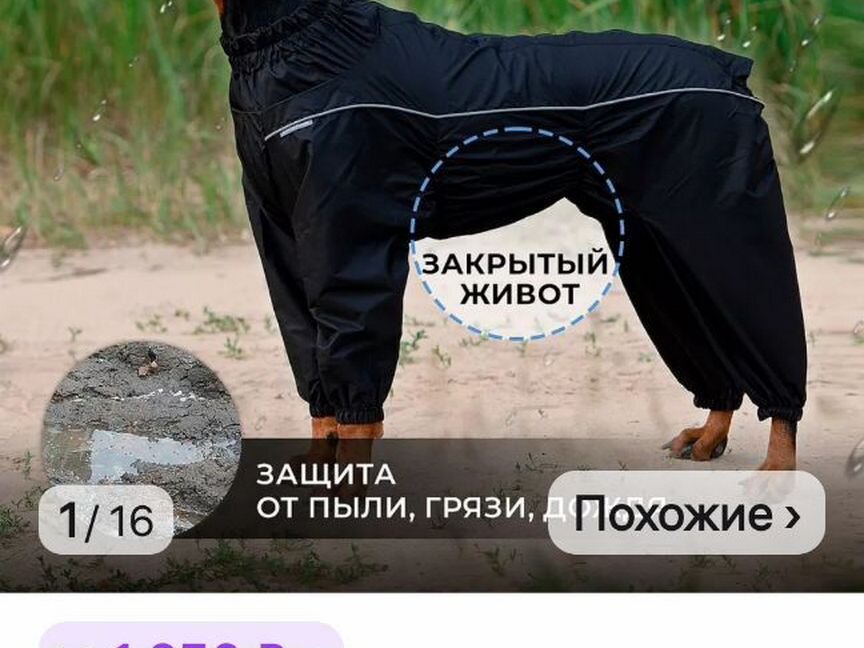 Дождевик для крупной собаки