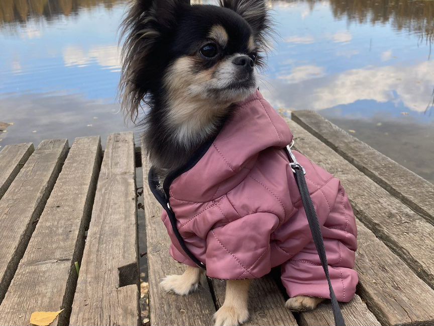 Комбинезон для девочки GlamCat