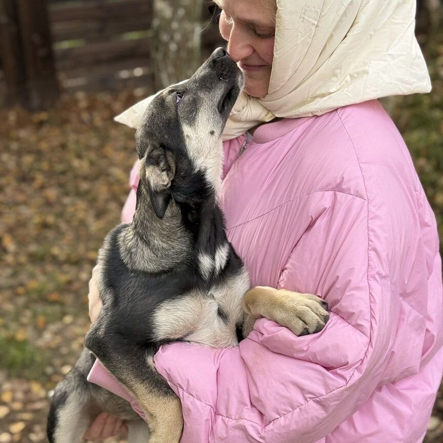 Комочек счастья в дом