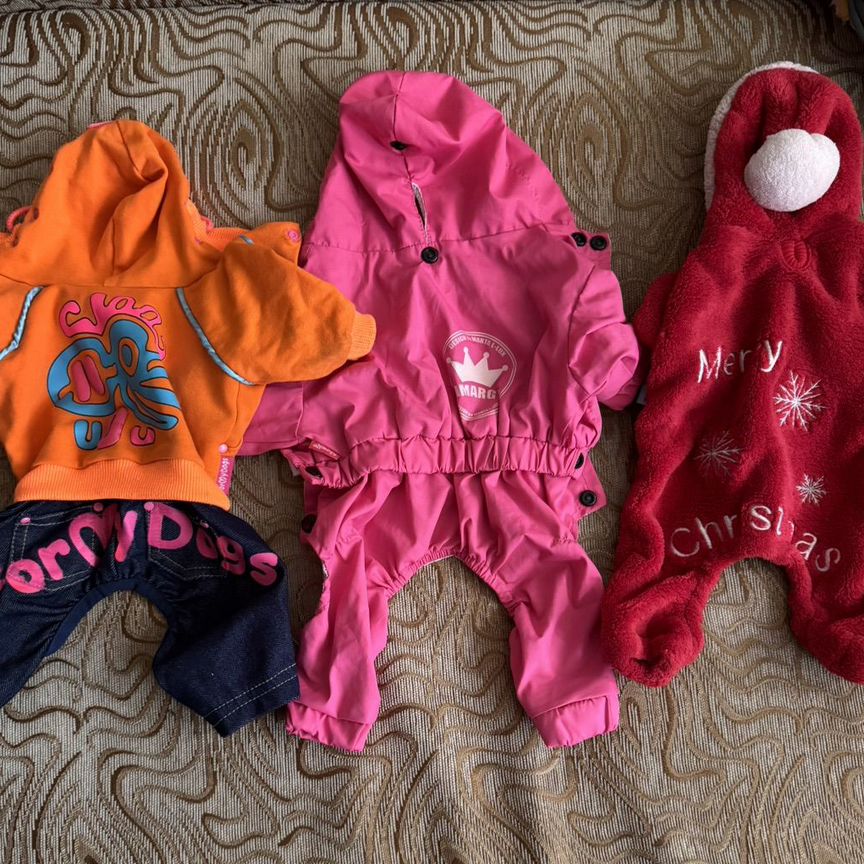 Вещи для маленьких собак 22-22,5 см