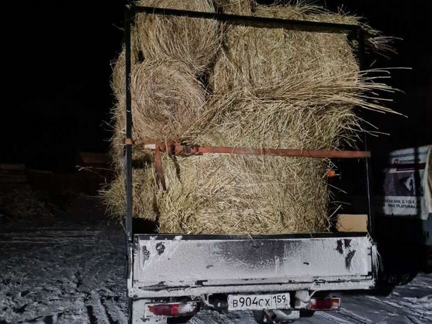 Сено рулонами маленькими и большими