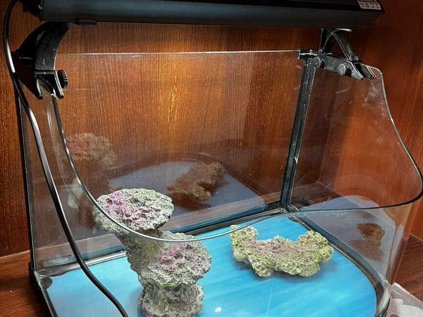 Аквариум черепашник