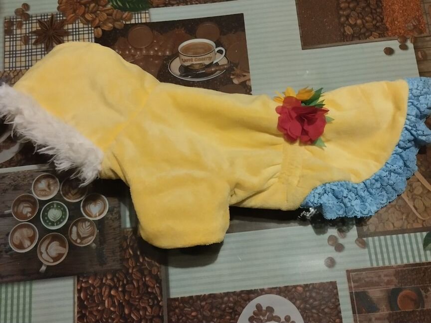 Одежда для маленькой собачки