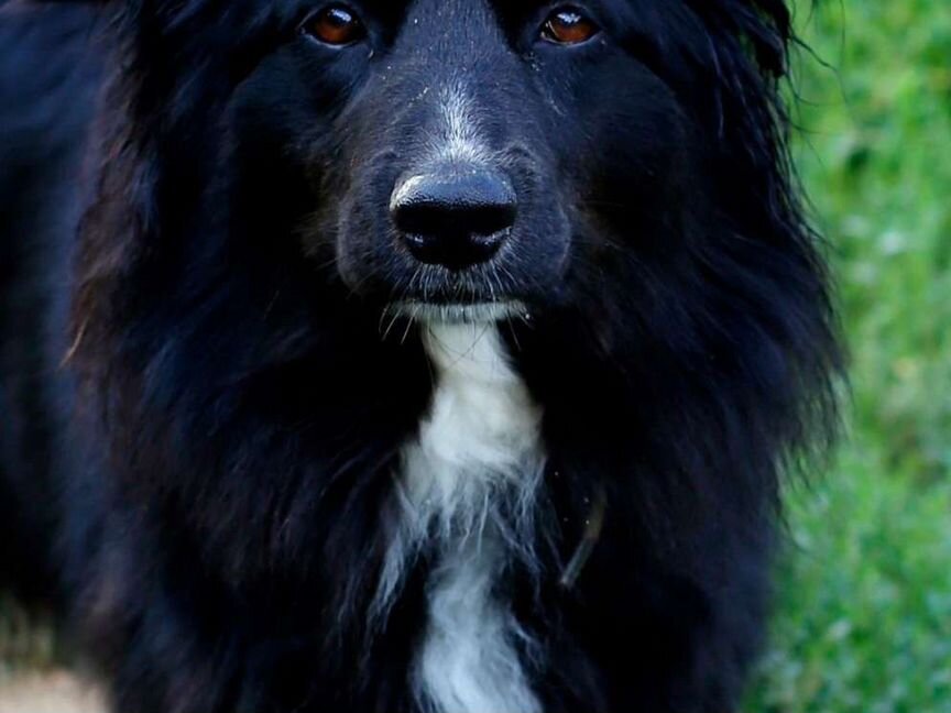 Грустный Чарли Чаплин