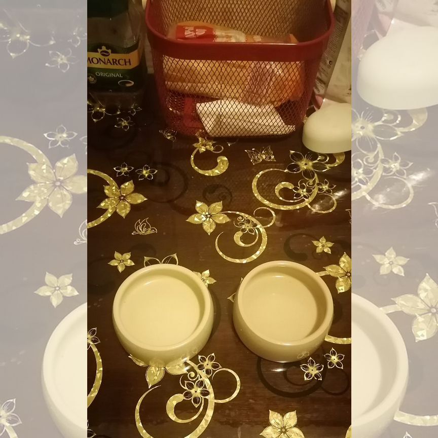 Миски для животных