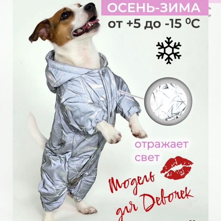 Зимняя одежда для собак