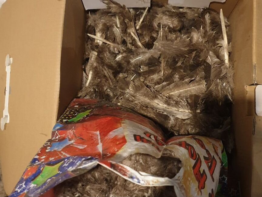 Пух и перья индюшачии