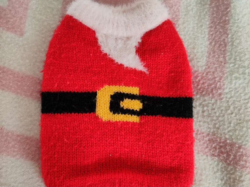 Одежда для сфинкса