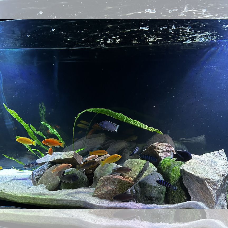 Аквариум 300 литров с тумбой