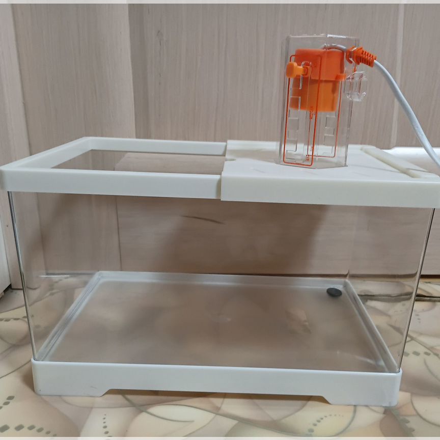 Террариум для рептилий