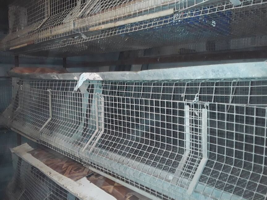 Клетки для сх птицы