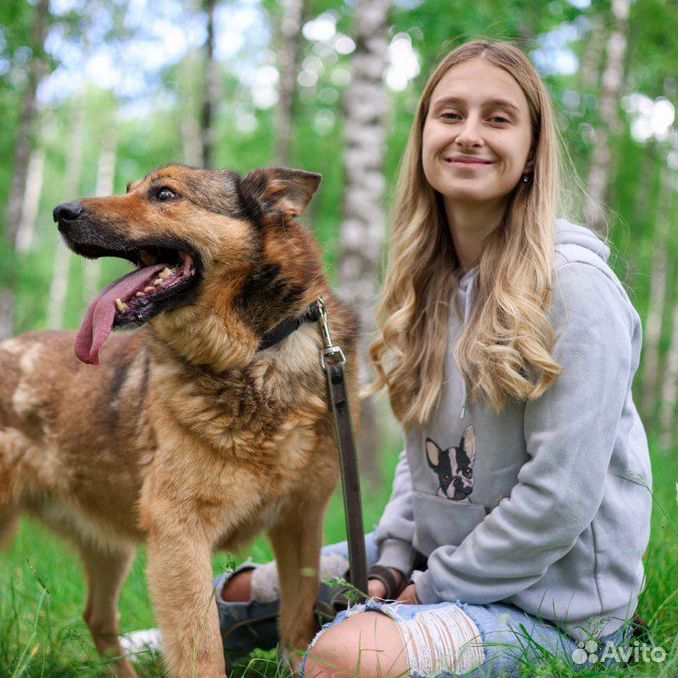 Супер крутой пёс в добрые руки из приюта