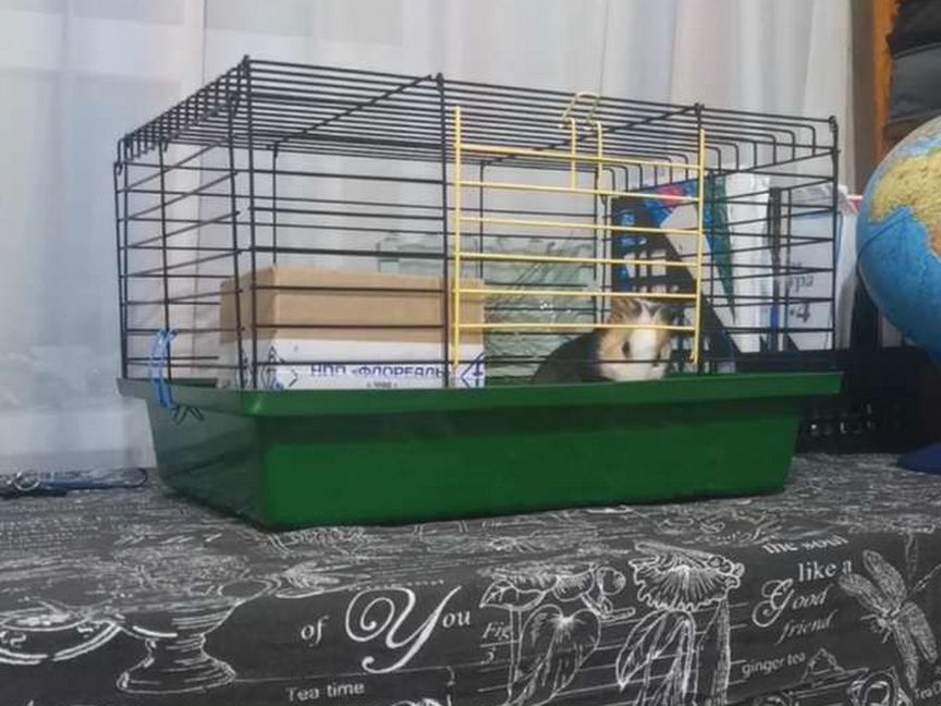 Клетка 50*35