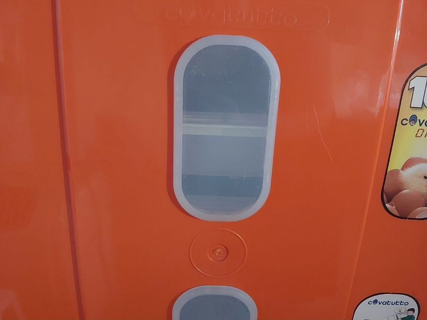 Итальянский инкубатор