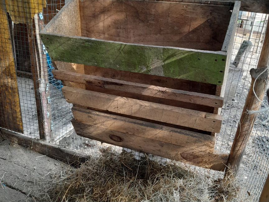 Товары для животных