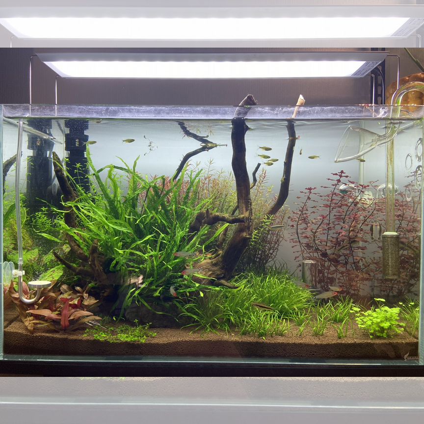 Аквариум Opti White 60 литров 60*30*37