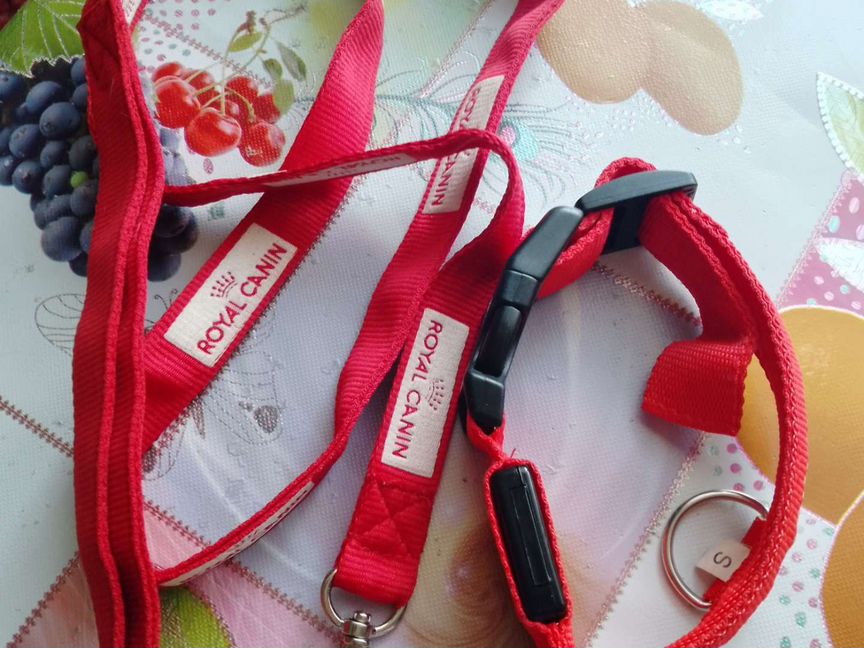 Ошейник с подсветкой и поводок