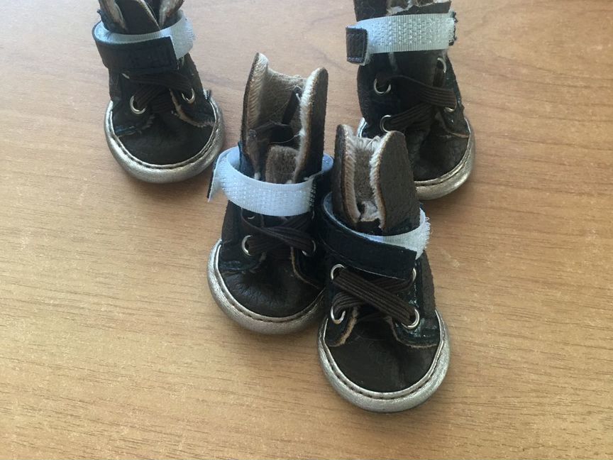 Ботинки для маленьких собак