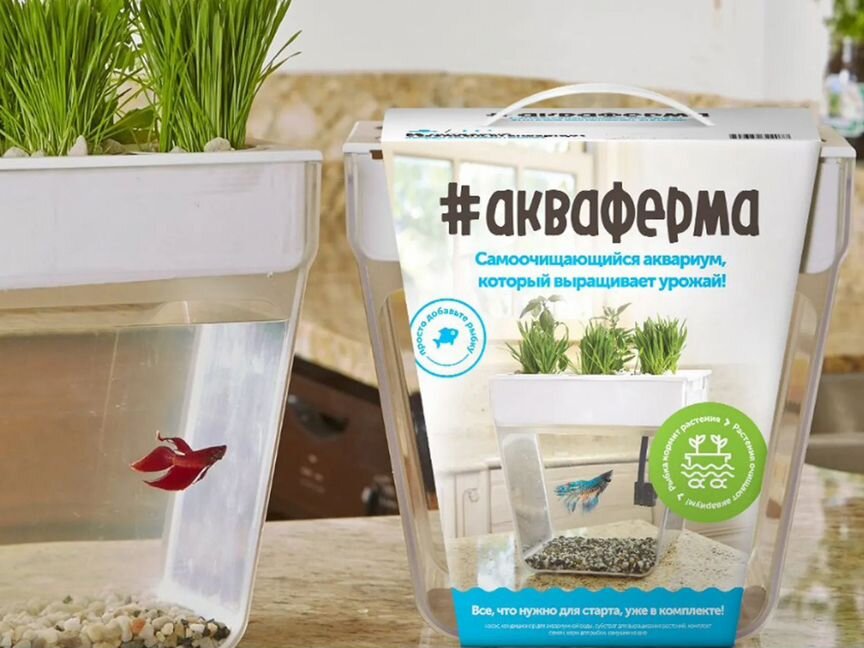 Аквариум-акваферма
