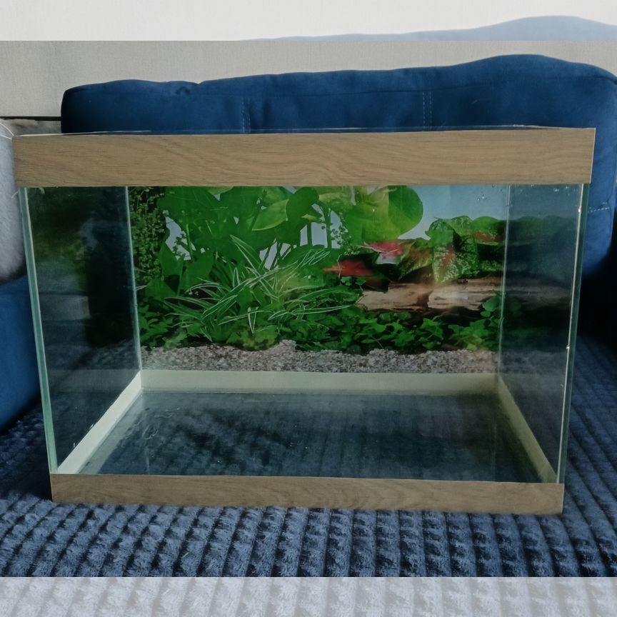 Аквариум 40л
