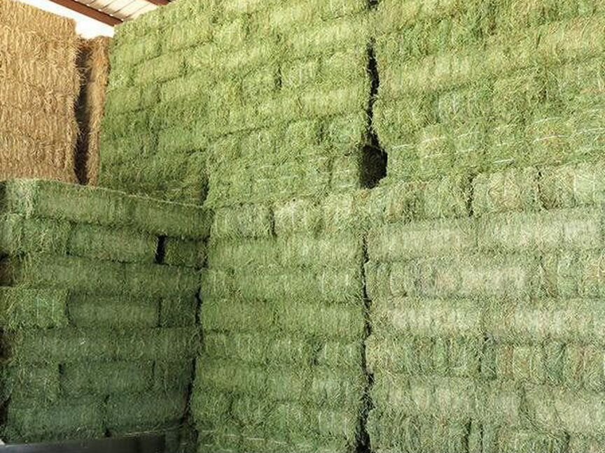 Продам сено в тюках