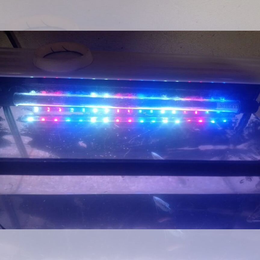 Фитолампа для аквариума Барбус