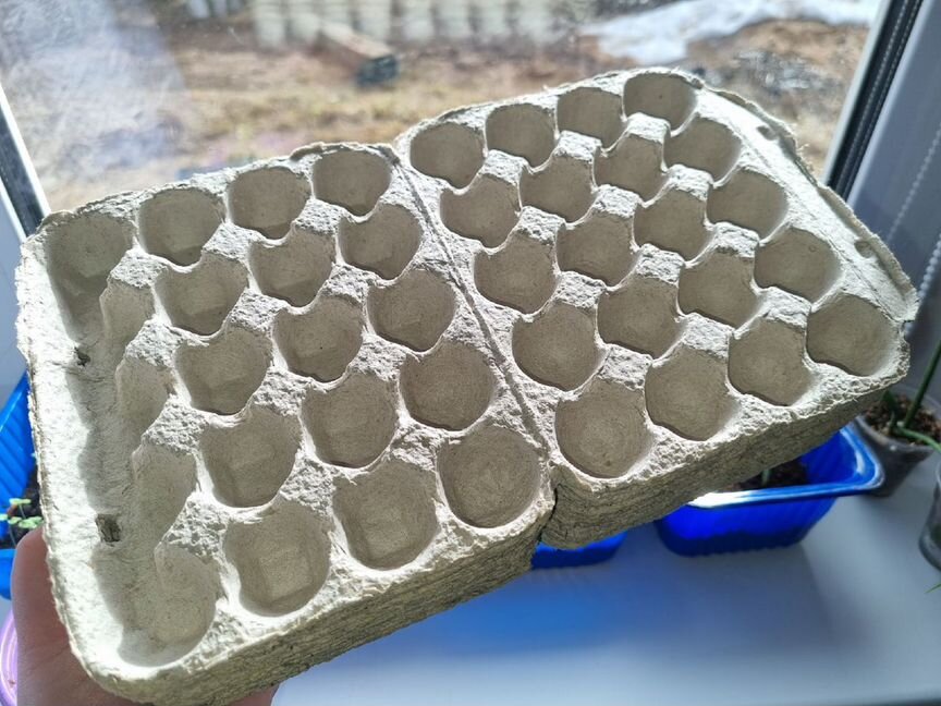 Лотки для перепелиных яиц (картон)