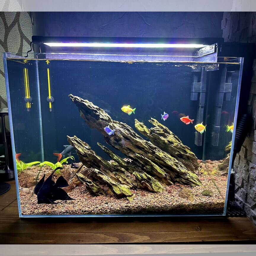 Акварум Optiwhite скейп из камня "Дракон" 80л