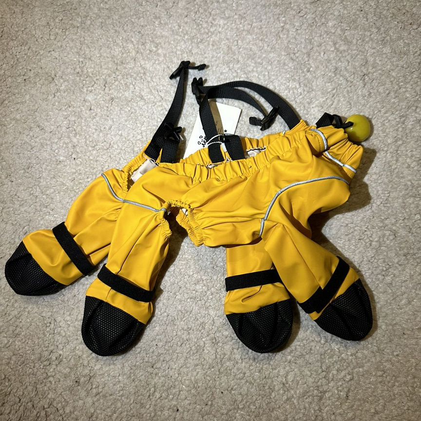 Костюм для собаки