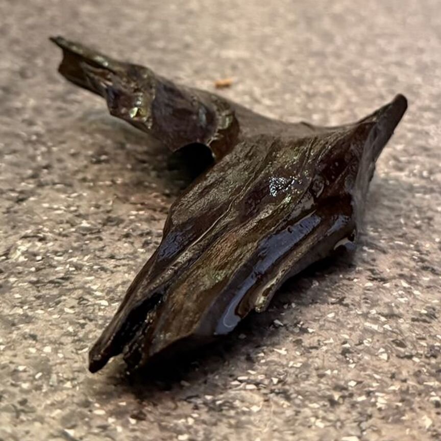 Коряга в аквариум натуральная