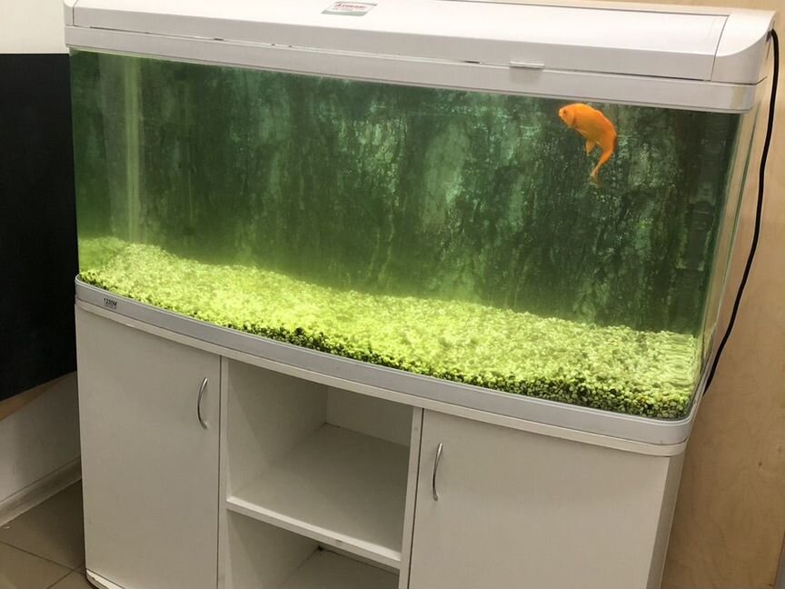 Аквариум с тумбой atman