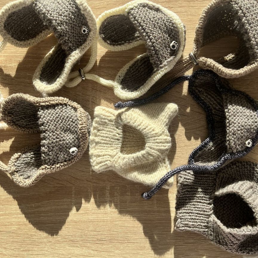 Шапочка на питомца